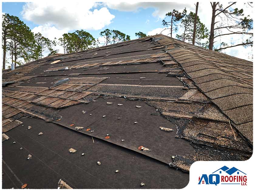 5 Reasons Roofs Fail